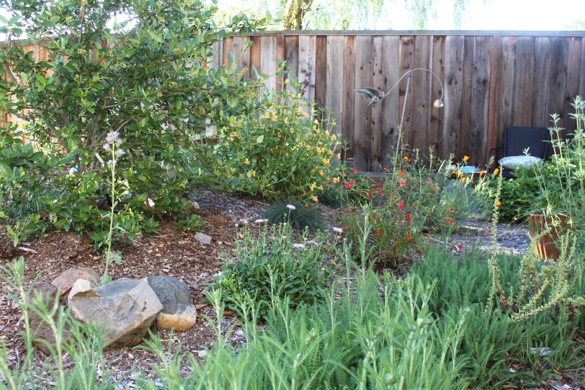 Dixie Finley’s garden - Bringing Back the Natives Garden Tour