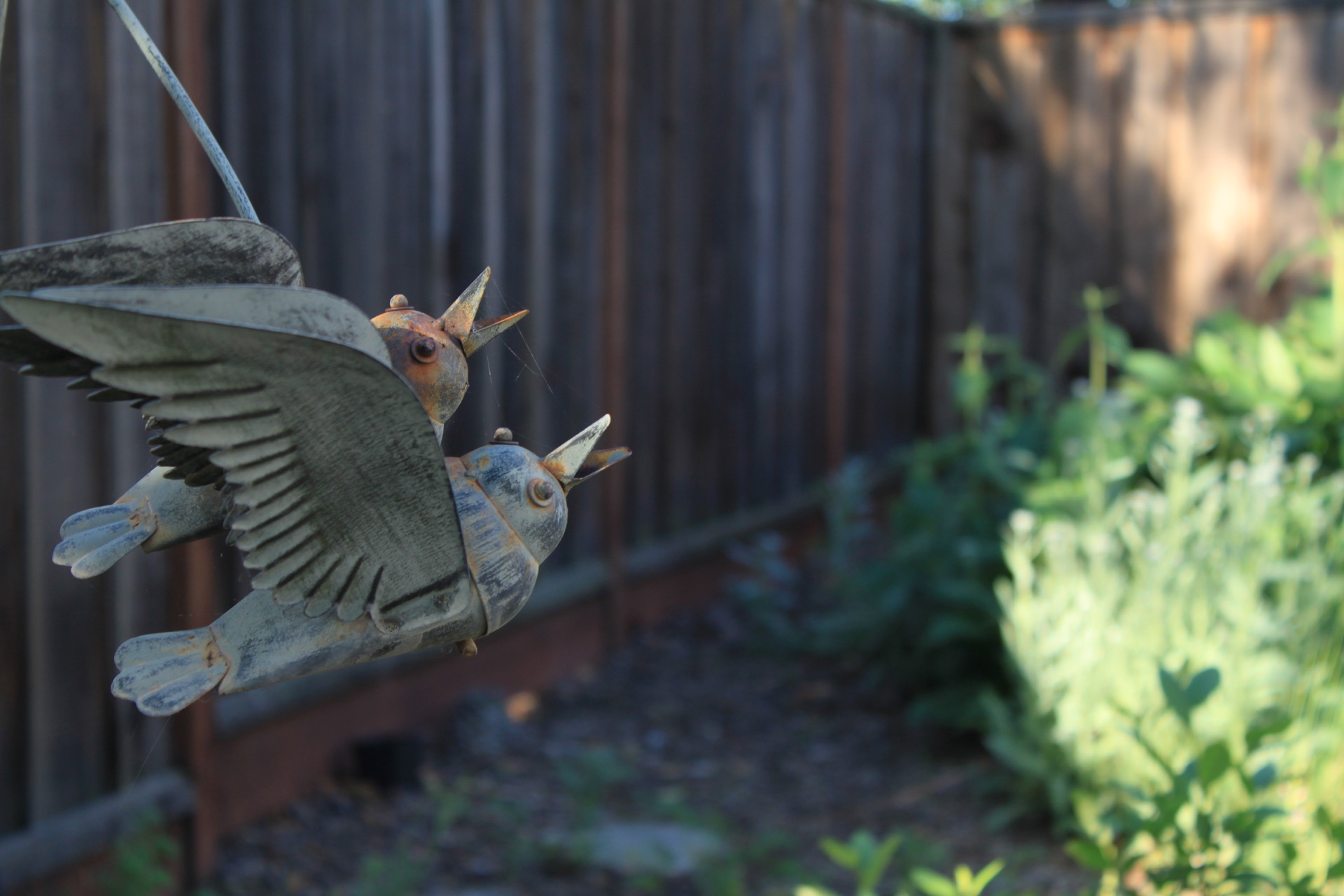 Dixie Finley’s garden - Bringing Back the Natives Garden Tour