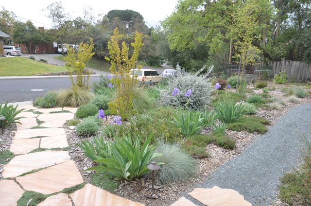 Price and Bernice Russ’ garden - Bringing Back the Natives Garden Tour