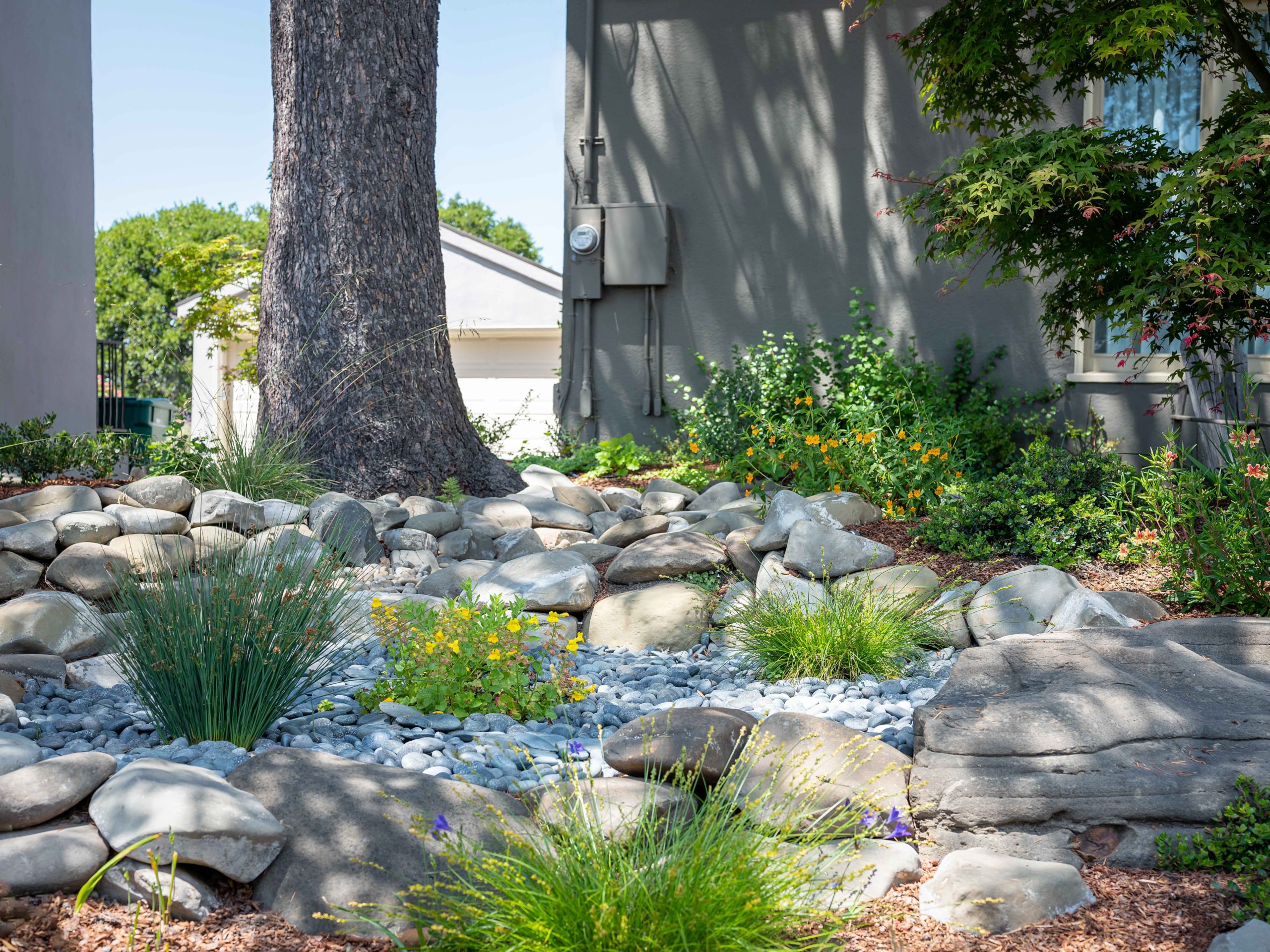 Mary Ann Walsh and Richard Carter’s garden ♿️ #28 - Bringing Back the ...