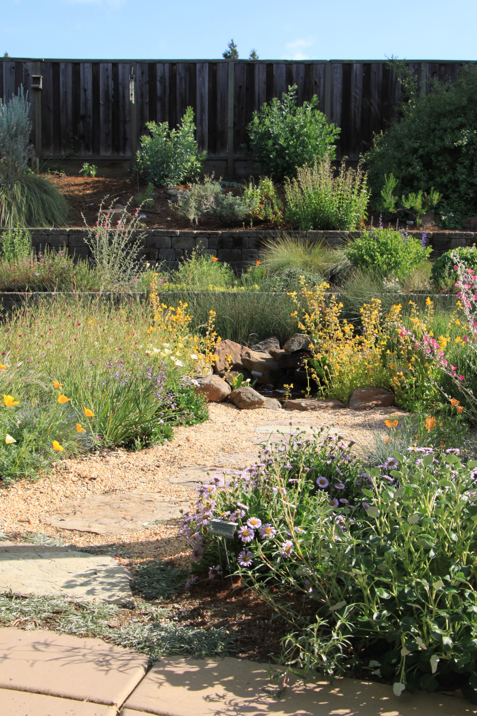 "You Can Do It! How to Design Your Own Native Garden" by Kelly Marshall ...